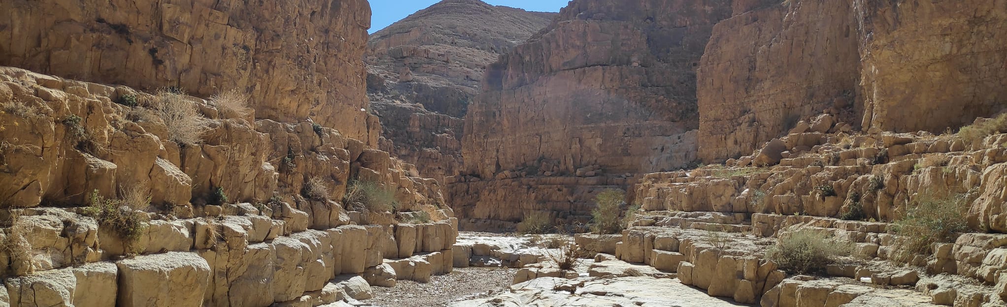 Upper Nahal Harduf, Southern District HaDarom, Israel - Map, Guide ...