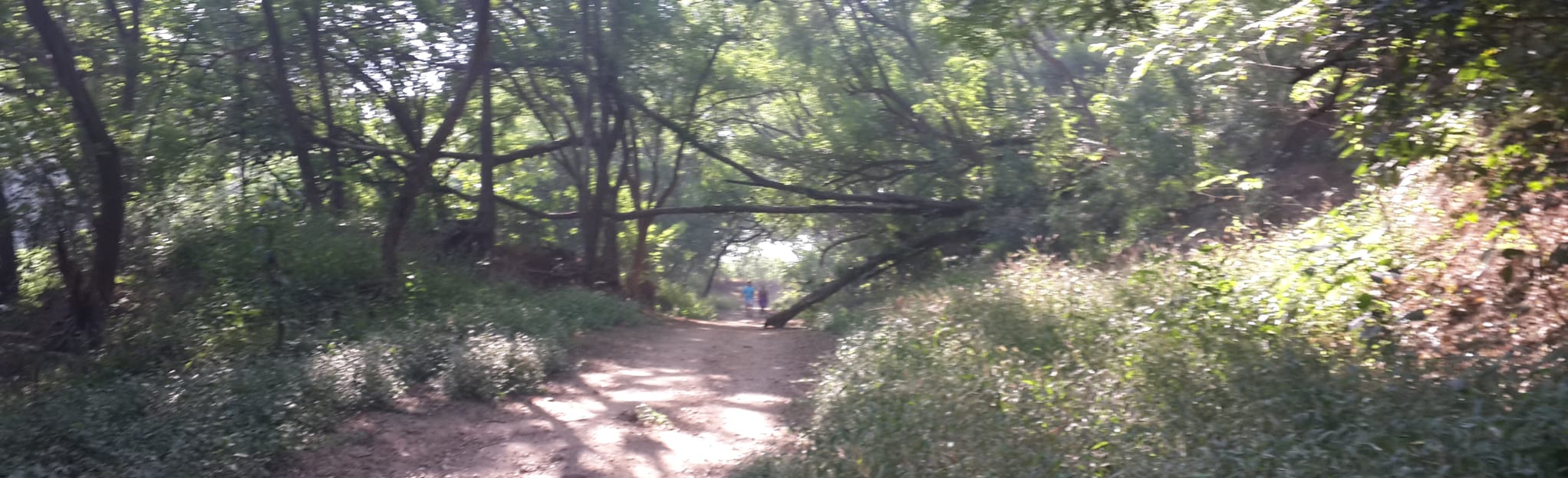 Mulund Peak - Cyprus Hills Loop | Map, Guide - Maharashtra, India ...