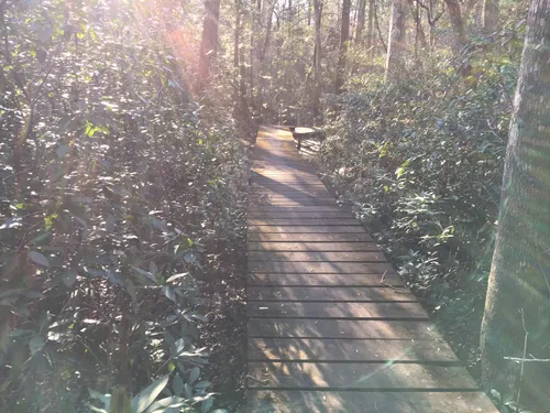 Best Hikes and Trails in Historic Blakeley State Park | AllTrails