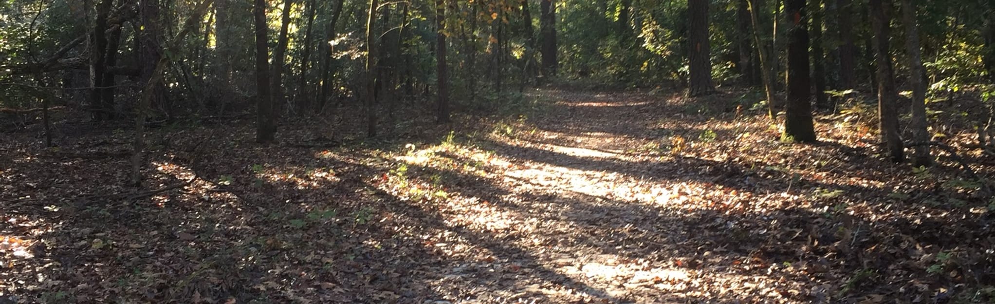 Whippoorwill Trail: 154 Reviews, Map - South Carolina | AllTrails