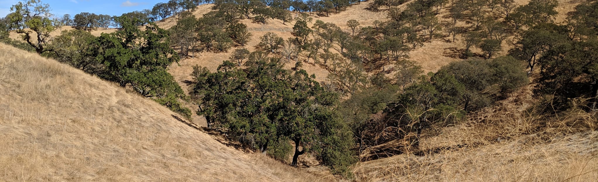 Shell Ridge via Livorna Road, California - 118 Reviews, Map | AllTrails