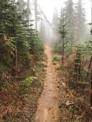 10 Best Hikes and Trails in Mount Spokane State Park | AllTrails