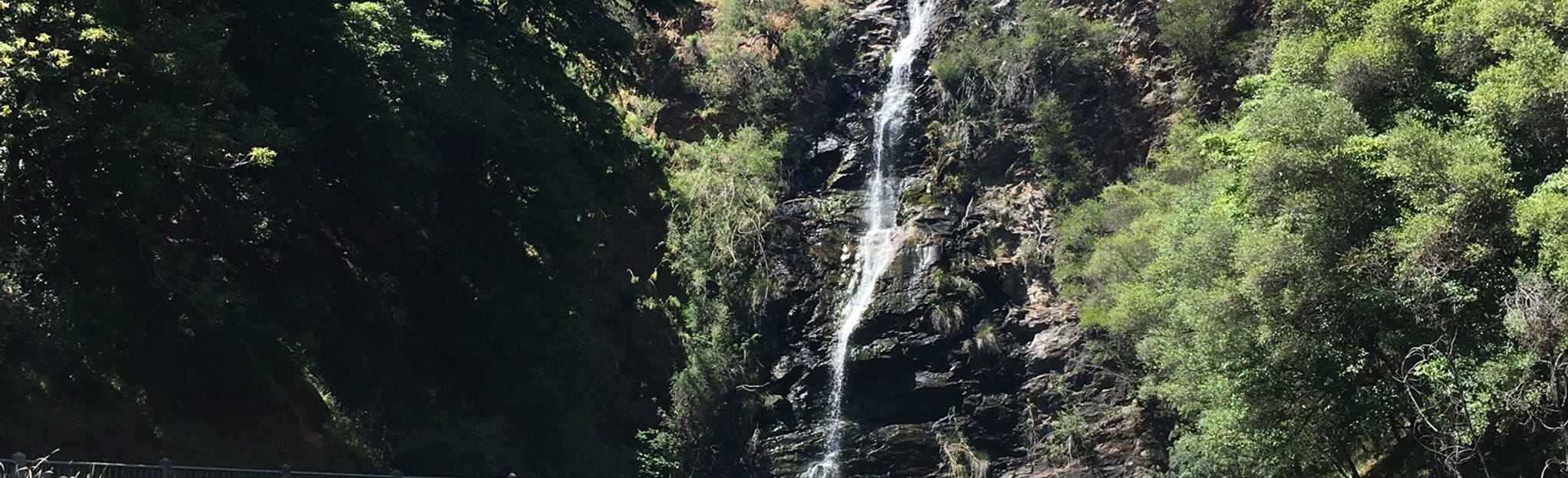 Waterfall Gully to Measday Lookout Loop: 41 Reviews, Map - South ...