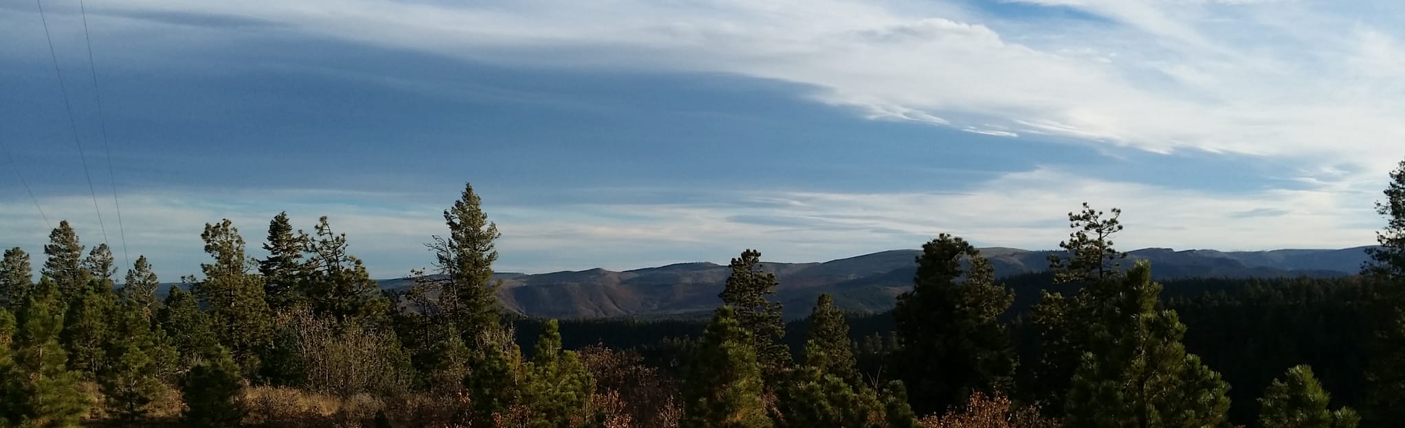 Bosque del Oso to Bingham Canyon, Colorado - 3 Reviews, Map | AllTrails