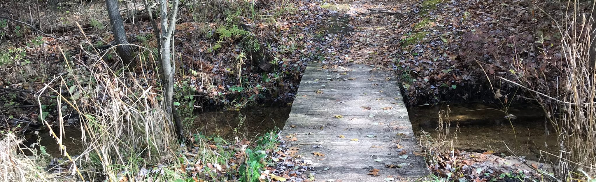 Deep Lake Trail, Michigan - 544 Reviews, Map | AllTrails