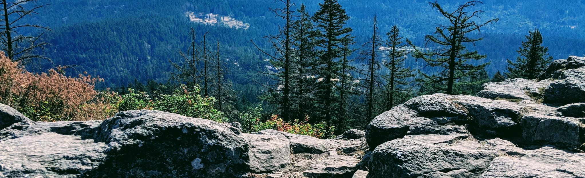 Spencer Butte from Fox Hollow Road | Map, Guide - Oregon | AllTrails