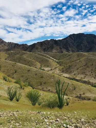 10 Best Trails and Hikes in Yuma | AllTrails