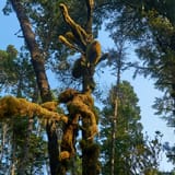 Cutler Wetlands Open Space Loop, Oregon - 101 Reviews, Map | AllTrails
