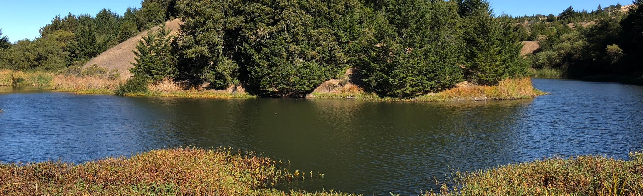 Russian Ridge and Long Ridge MTB | Map, Guide - California | AllTrails