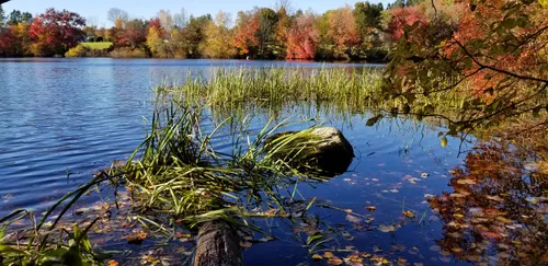 Best Hikes and Trails in Bolton Notch State Park | AllTrails