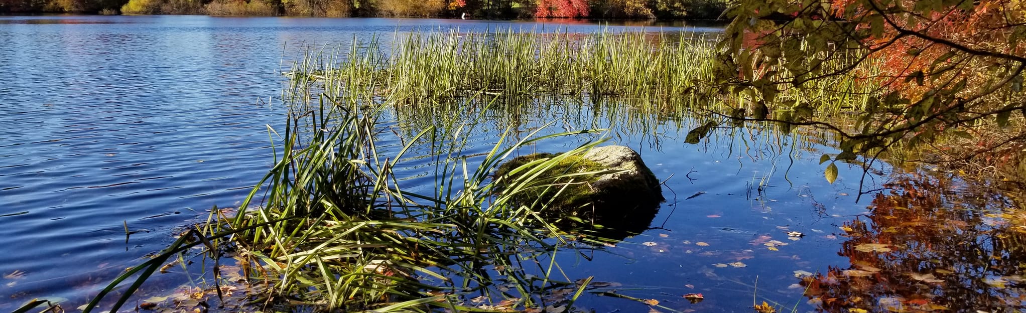 Bolton Notch Pond to Risley Pond, Connecticut - 82 Reviews, Map | AllTrails