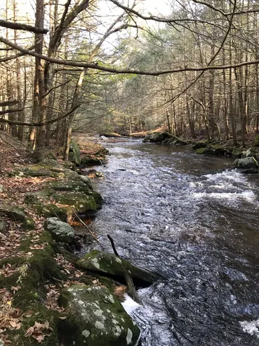 Best Hikes and Trails in Swift River Reservation | AllTrails