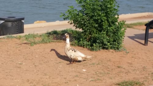 Best Hikes and Trails in Oscar Park and Gordon Lake | AllTrails
