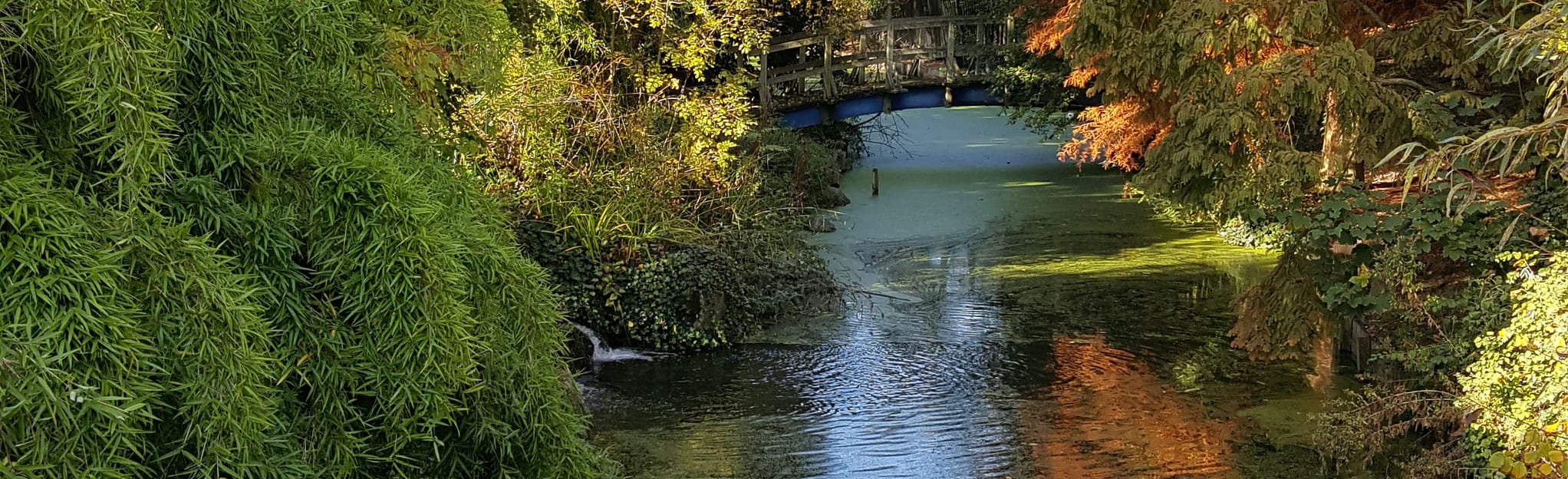 Regent's Park and Primrose Hill Circular: 154 Reviews, Map - London ...