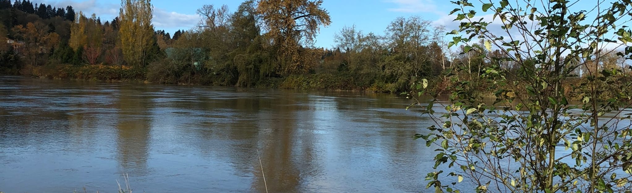 Lowell Riverfront Trail: 431 Reviews, Map - Washington | AllTrails