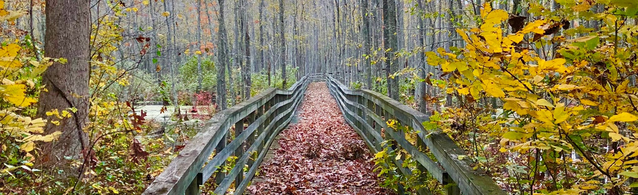 Ghost River Mineral Slough Boardwalk, Tennessee - 34 Reviews, Map ...