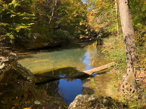 Best Hikes and Trails in Bell Smith Springs Natural Landmark | AllTrails