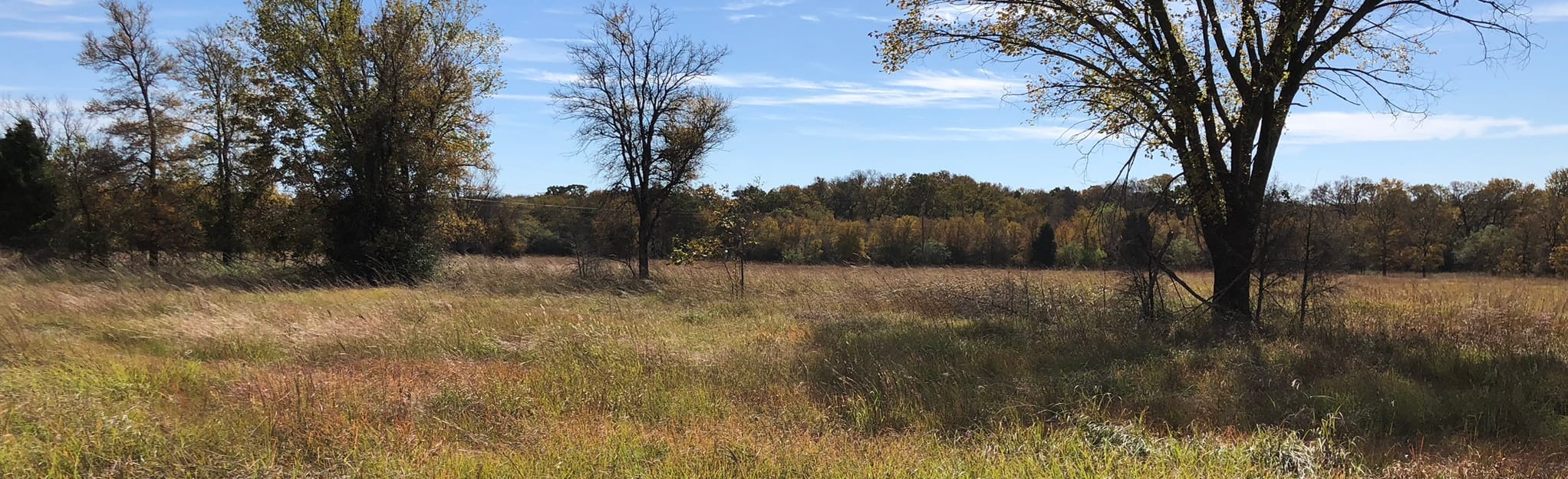Deer Mouse Trail: 131 Reviews, Map - Texas | AllTrails