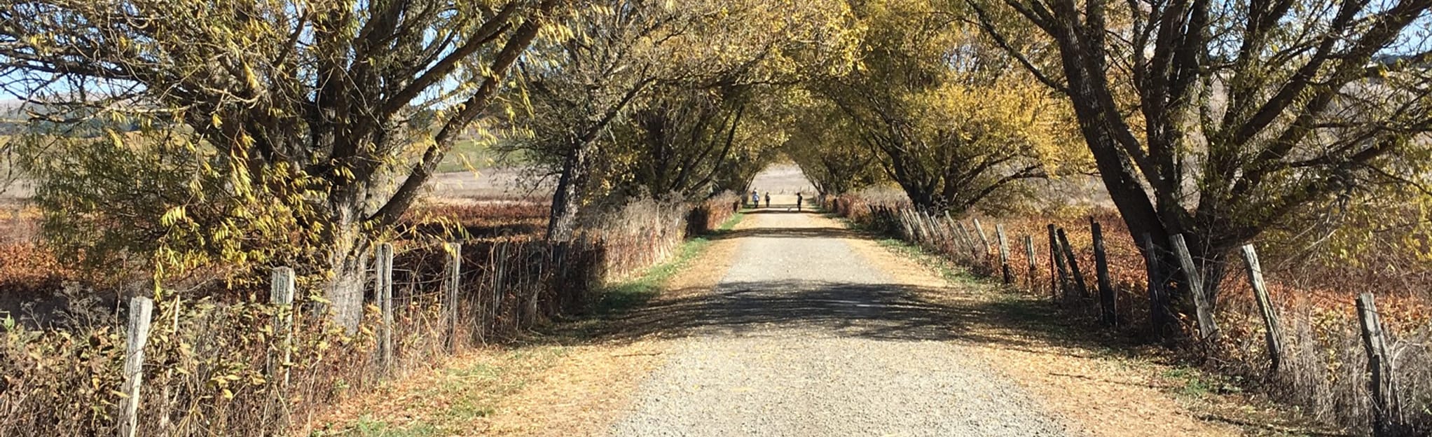 3-Bridges Vista Point via Causeway and East Ridge Trail, California ...