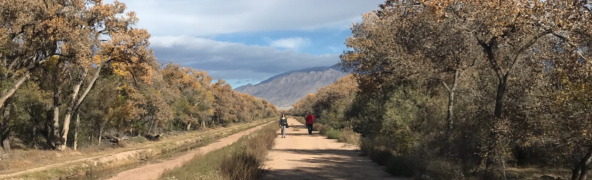 Corrales Bosque Preserve, New Mexico - 412 Reviews, Map | AllTrails