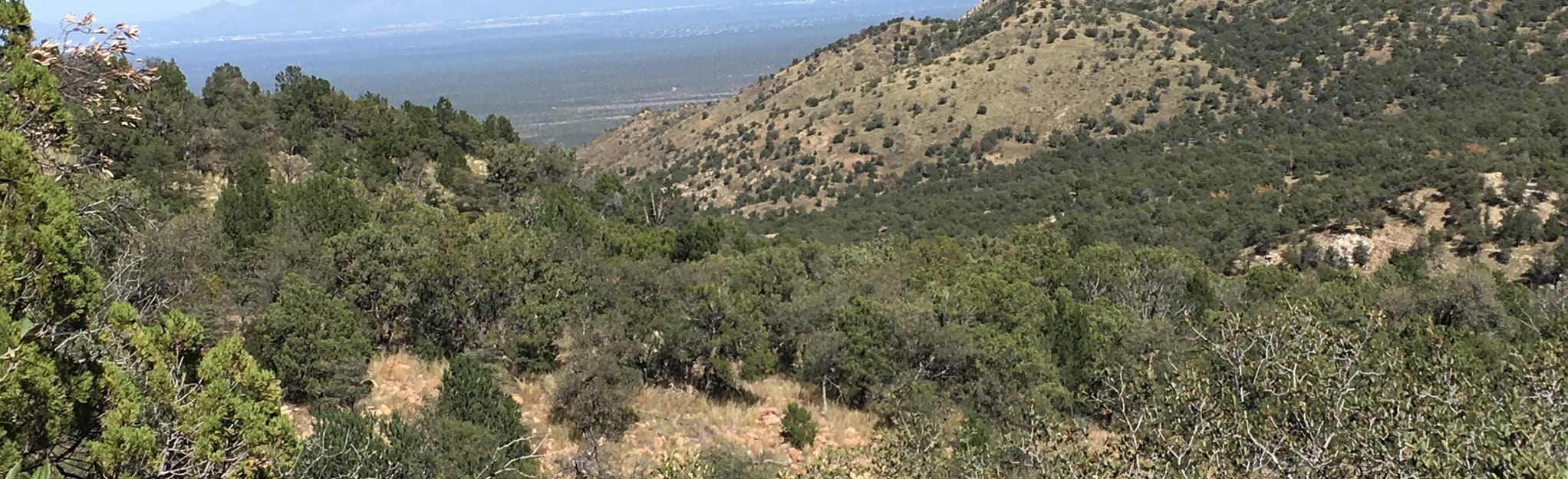 Madera Canyon Nature Trail, Arizona - 1,050 Reviews, Map | AllTrails