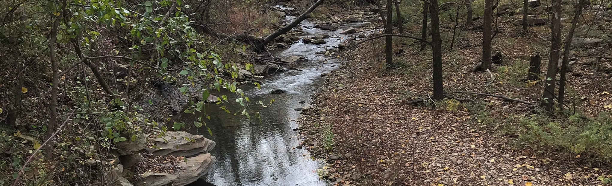 Buzzard Roost Nature Trail - Oklahoma | AllTrails