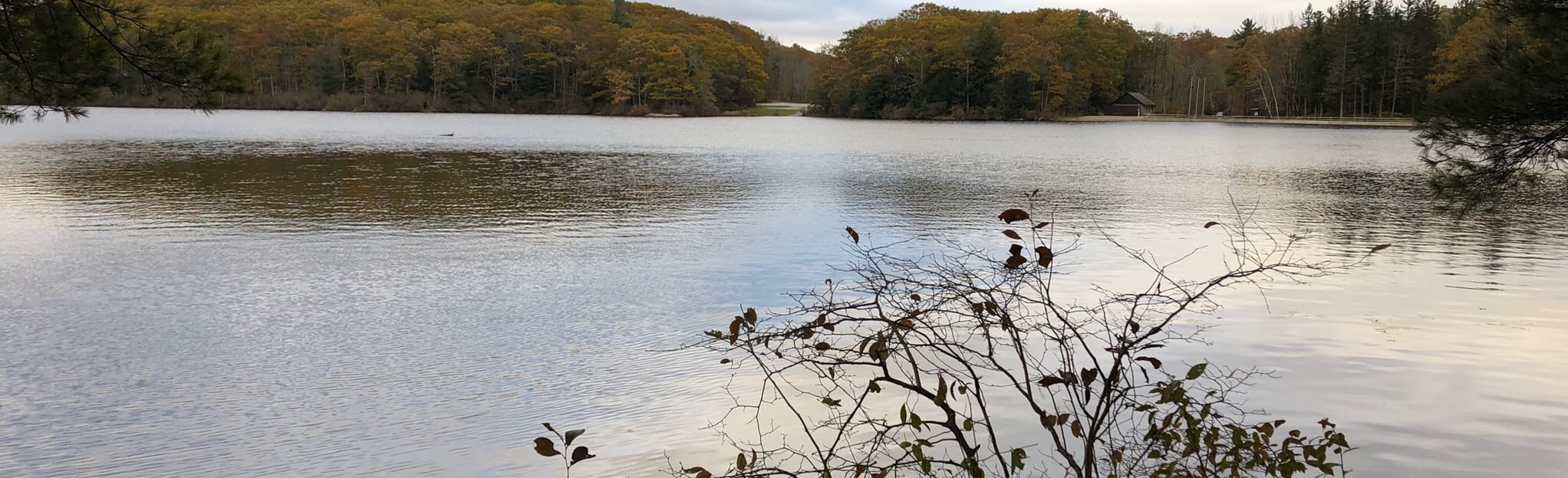 Benedict Pond Loop Trail, Massachusetts - 609 Reviews, Map | AllTrails