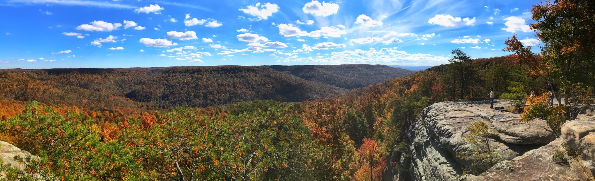 Bee Rock Overlook, Tennessee - 281 Reviews, Map | AllTrails