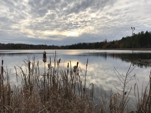 Best Hikes and Trails in Luther Marsh Conservation Area | AllTrails