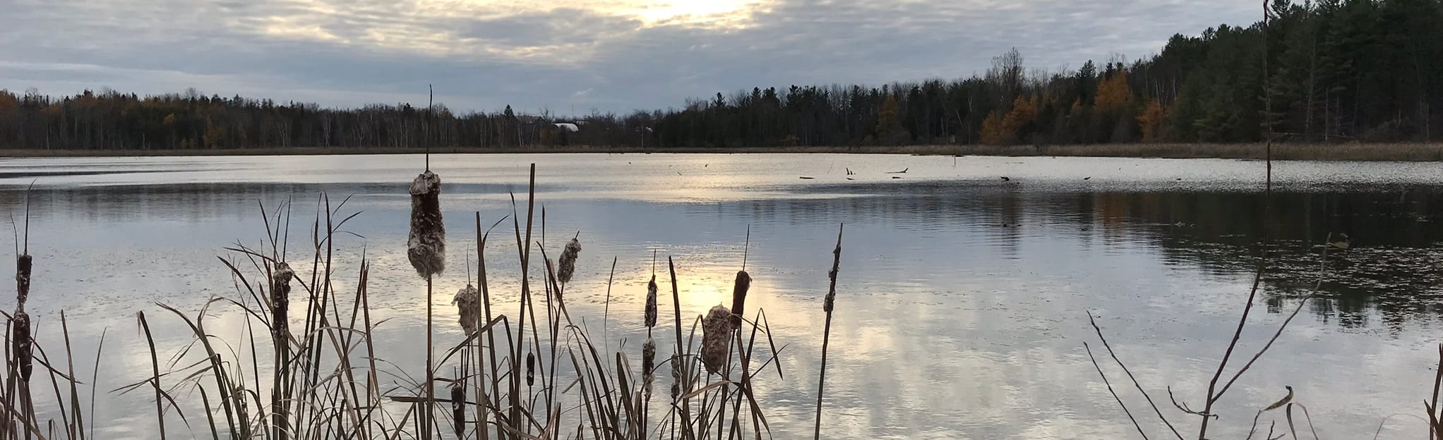 Luther Marsh White Trail: 41 Reviews, Map - Ontario, Canada | AllTrails