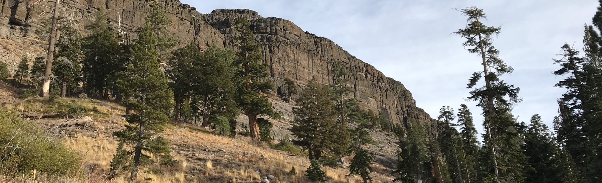 Red Cliffs Loop: 20 Reviews, Map - California | AllTrails