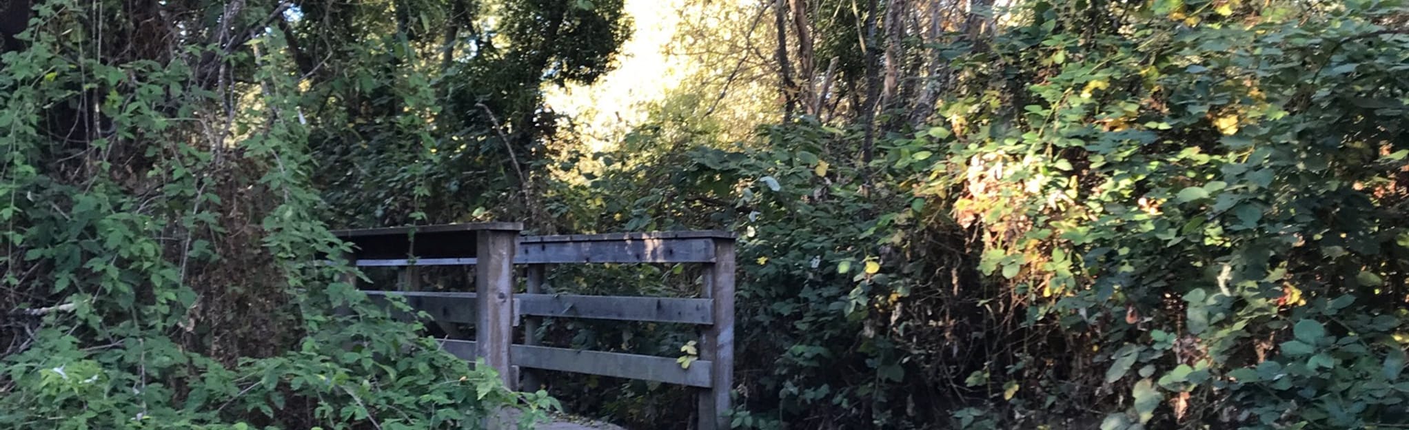 Ragle Ranch Extended Loop, California - 578 Reviews, Map | AllTrails