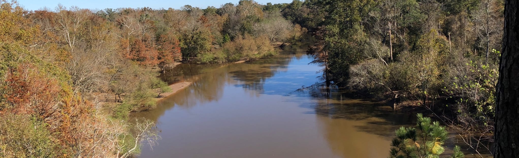 Lake to Spanish Moss to Longleaf Loop: 277 Reviews, Map - North ...