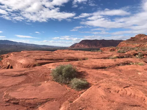 10 Best Easy Trails in Red Cliffs National Conservation Area | AllTrails