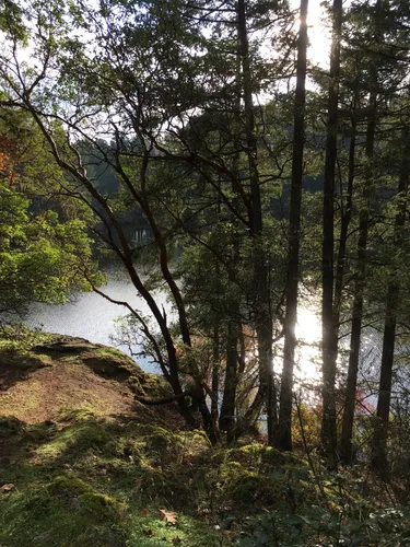 Best Easy Trails in Thetis Lake Regional Park | AllTrails