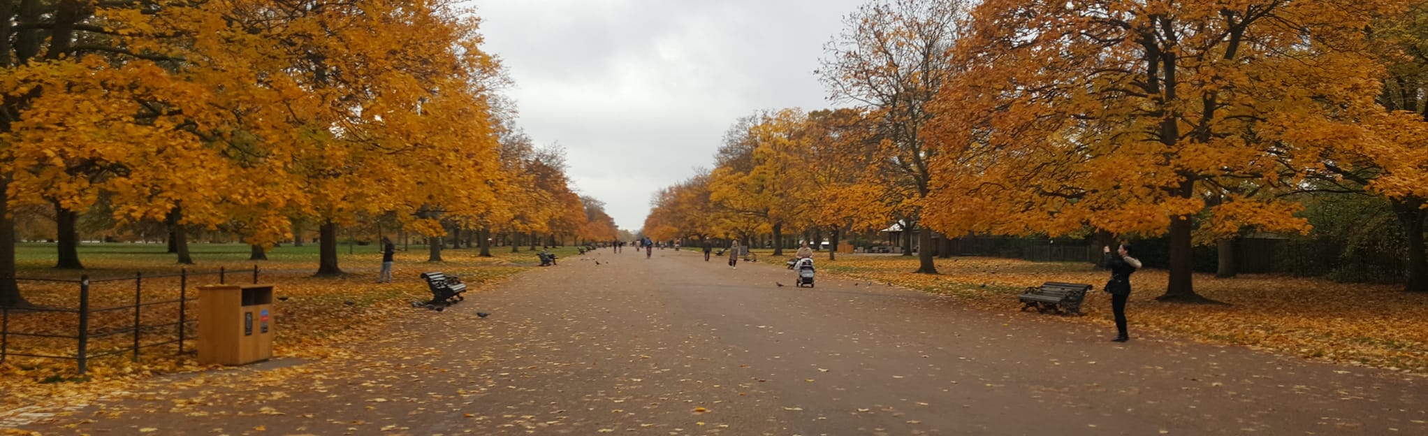 Jubilee Greenway: Buckingham Palace to the Angel: 931 foto - London ...