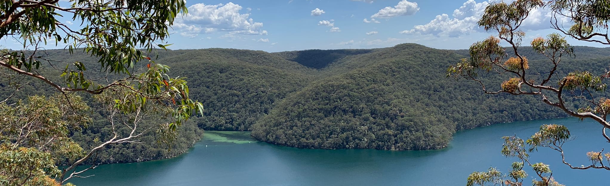 Cowan Track: 163 foto's - Nieuw-Zuid-Wales, Australië | AllTrails