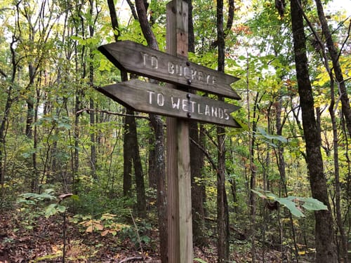 Best 10 Hikes and Trails in Ruffner Mountain Nature Preserve | AllTrails