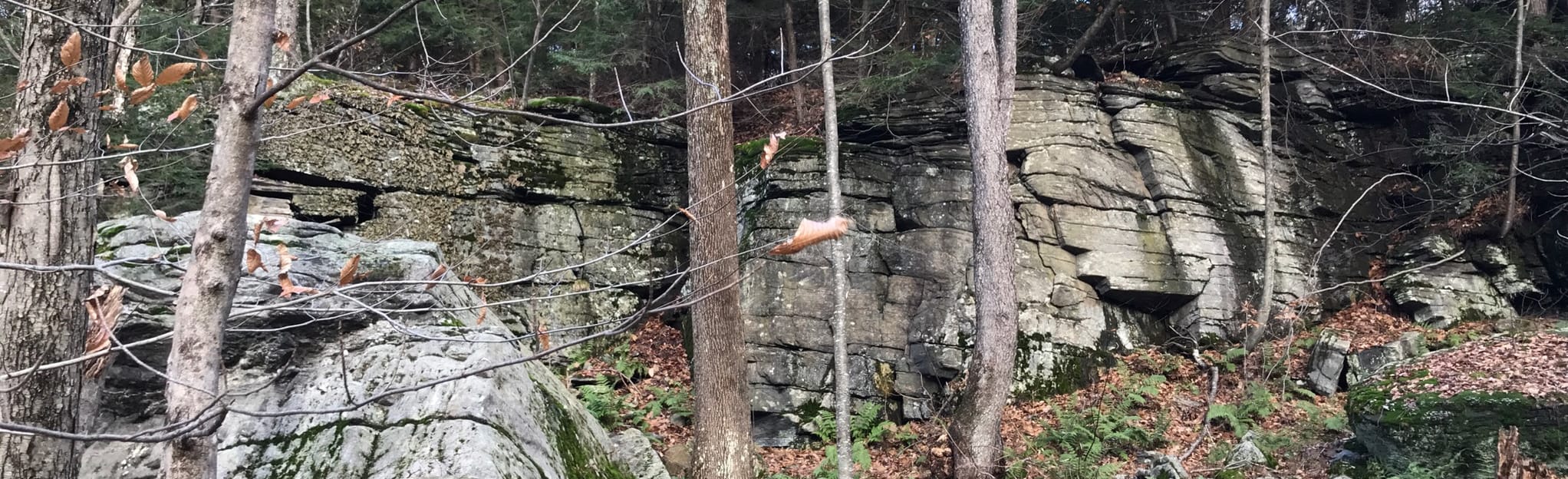 Mount Hunger Loop Trail: 38 Reviews, Map - Massachusetts | AllTrails