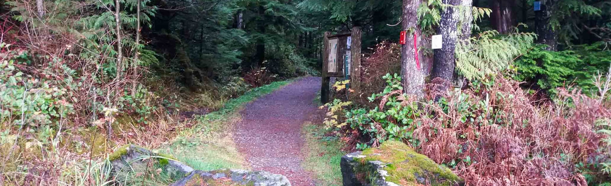 Pipeline Trail to Connell Lake: 12 Reviews, Map - Alaska | AllTrails