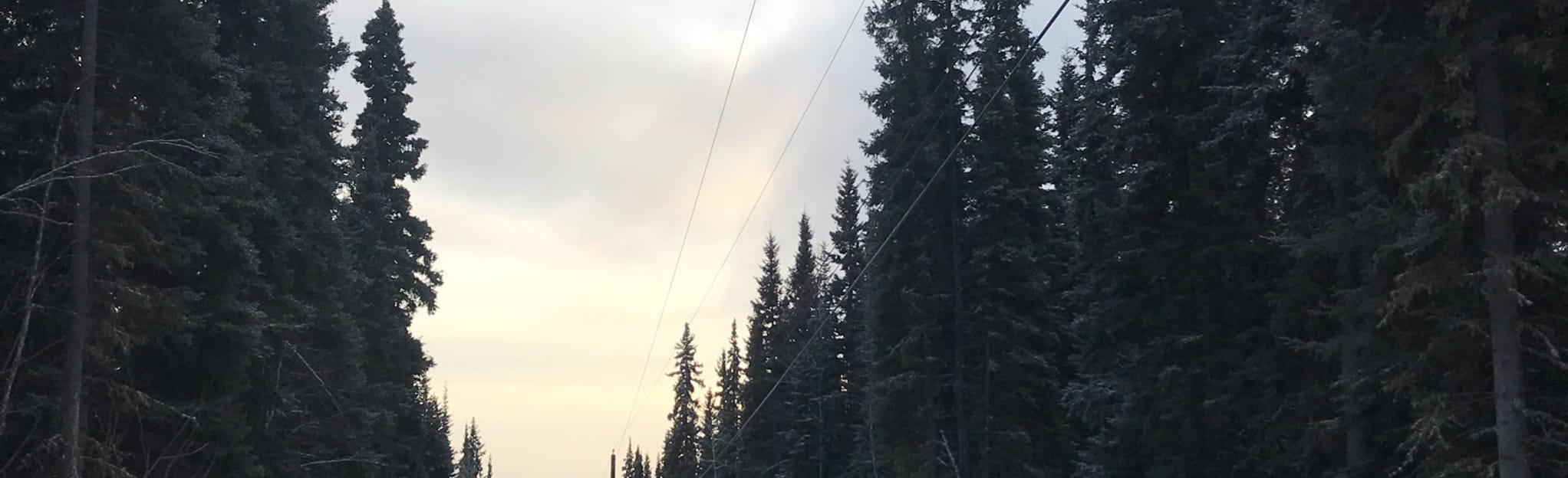 Powerline Loop, Alaska - 23 Reviews, Map | AllTrails