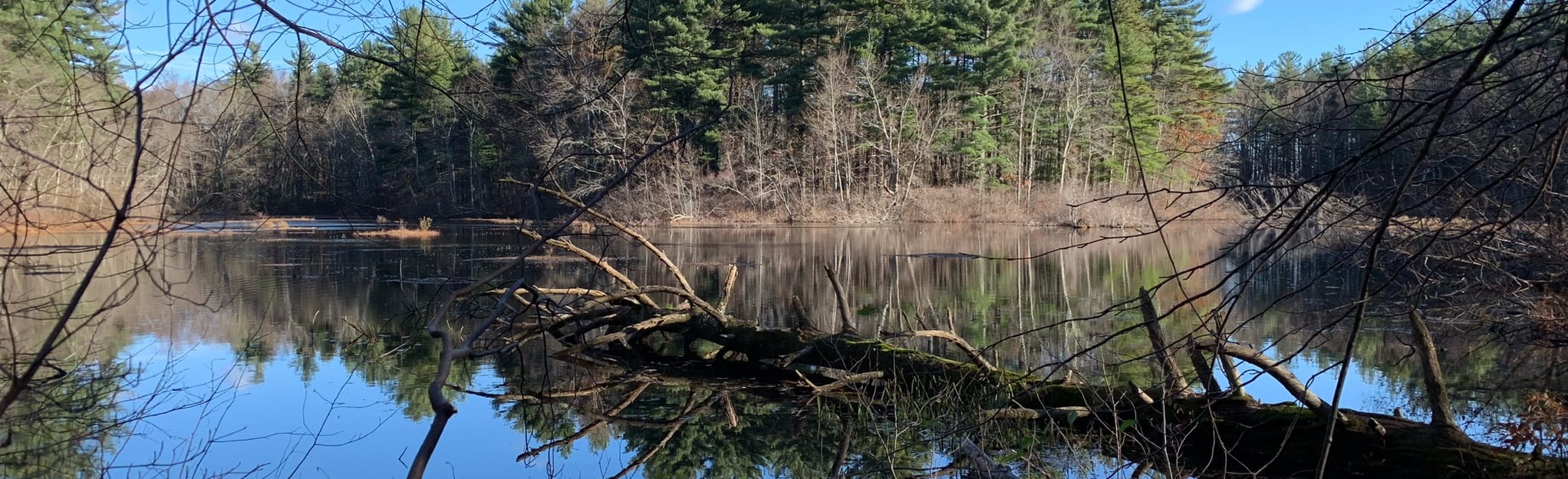 Tyler, Berlin Road Trail, North Gorge and South Overlook Loop: 168 ...