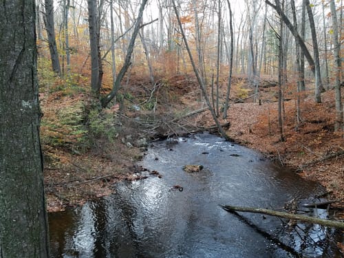 Best Hikes and Trails in North Farms Park | AllTrails