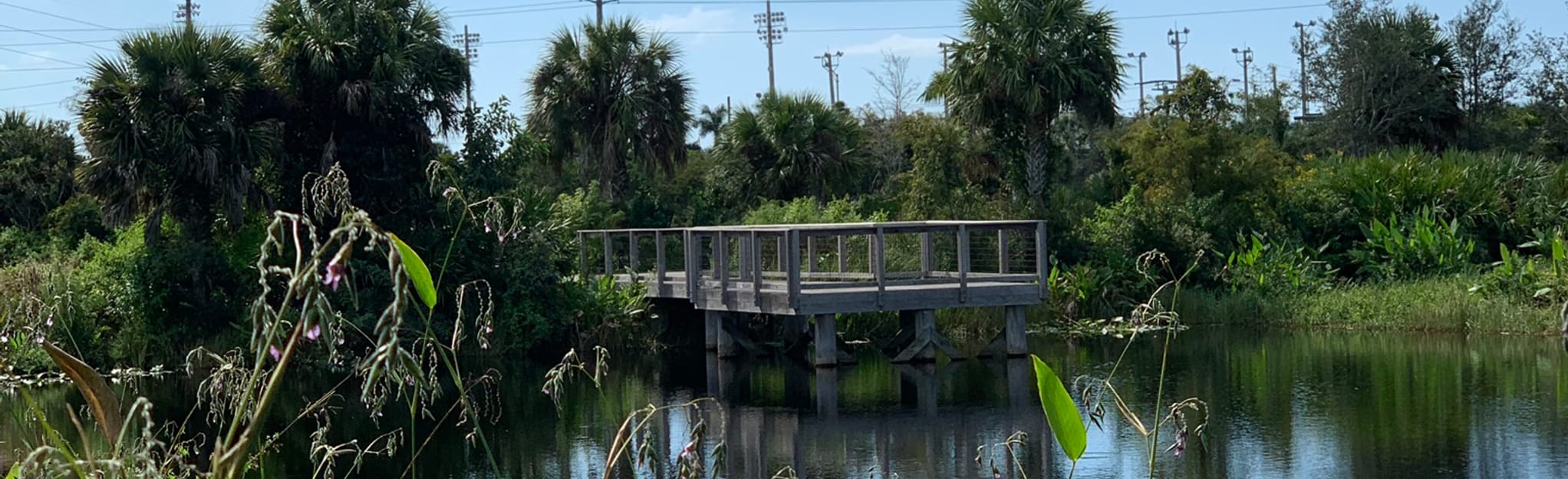 Freedom Park Loop: 161 Fotos - Florida | Wandern | AllTrails