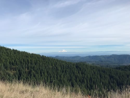 2023 Best 10 Hard Trails in Capitol State Forest | AllTrails