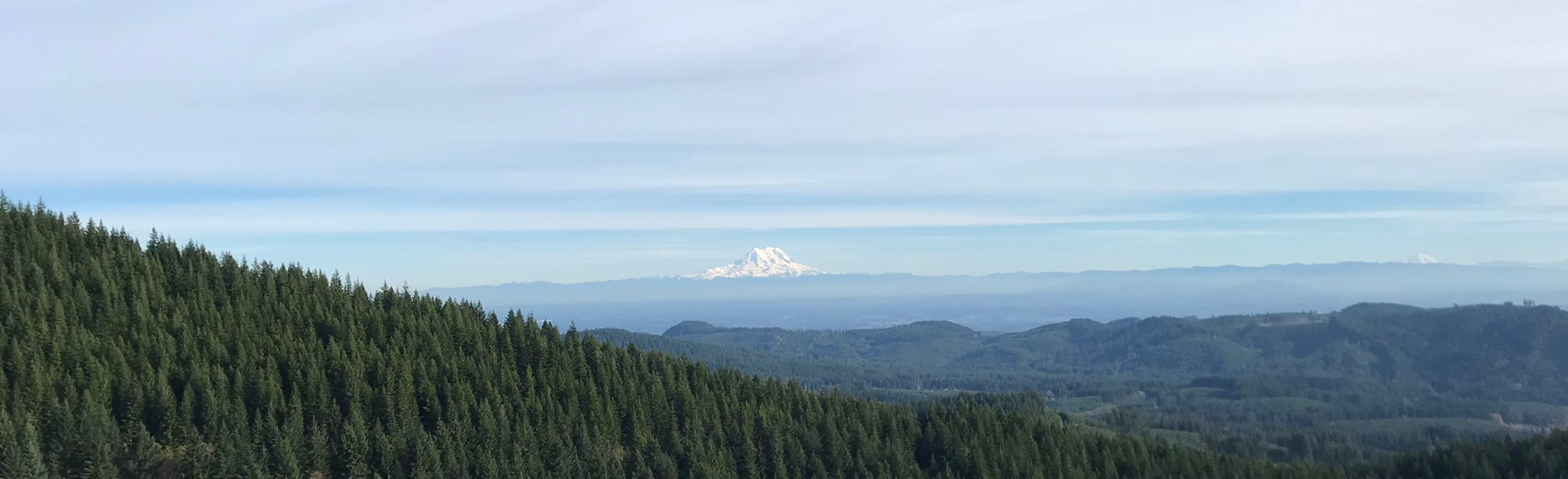 Capitol Forest Loop from Mima Falls Trailhead, Washington - 5 Reviews ...