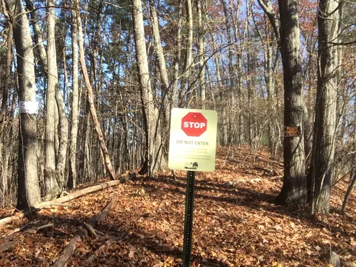 Best Hikes and Trails in Beaver Brook Reservation | AllTrails