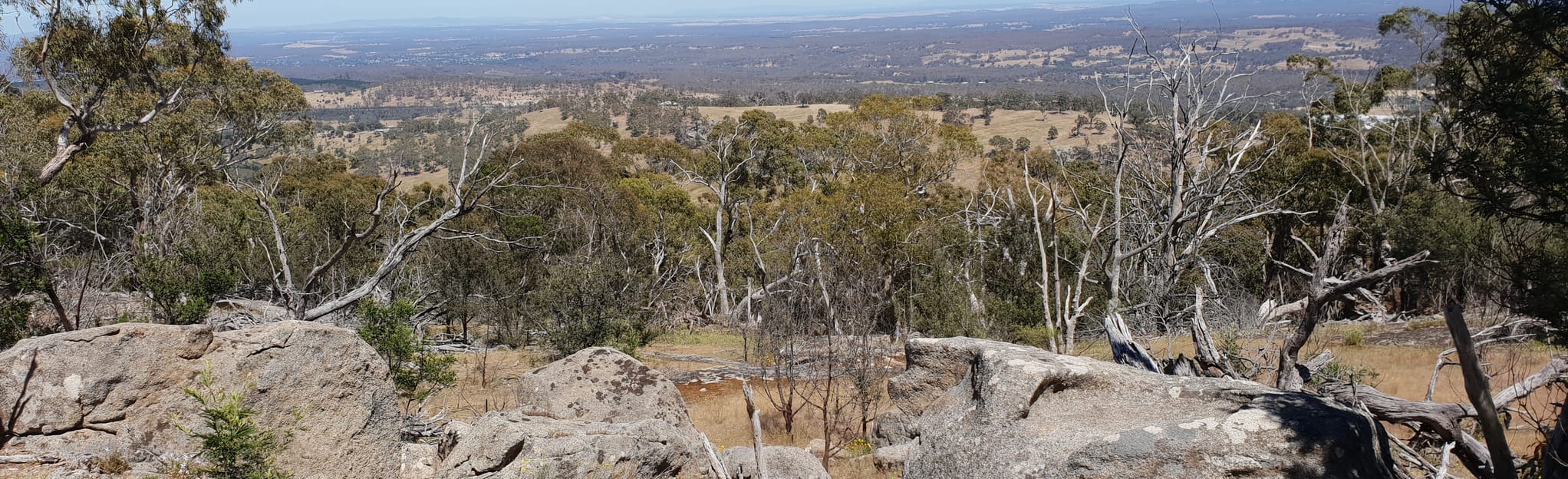 Mount Alexander Loop - Victoria, Australia | AllTrails