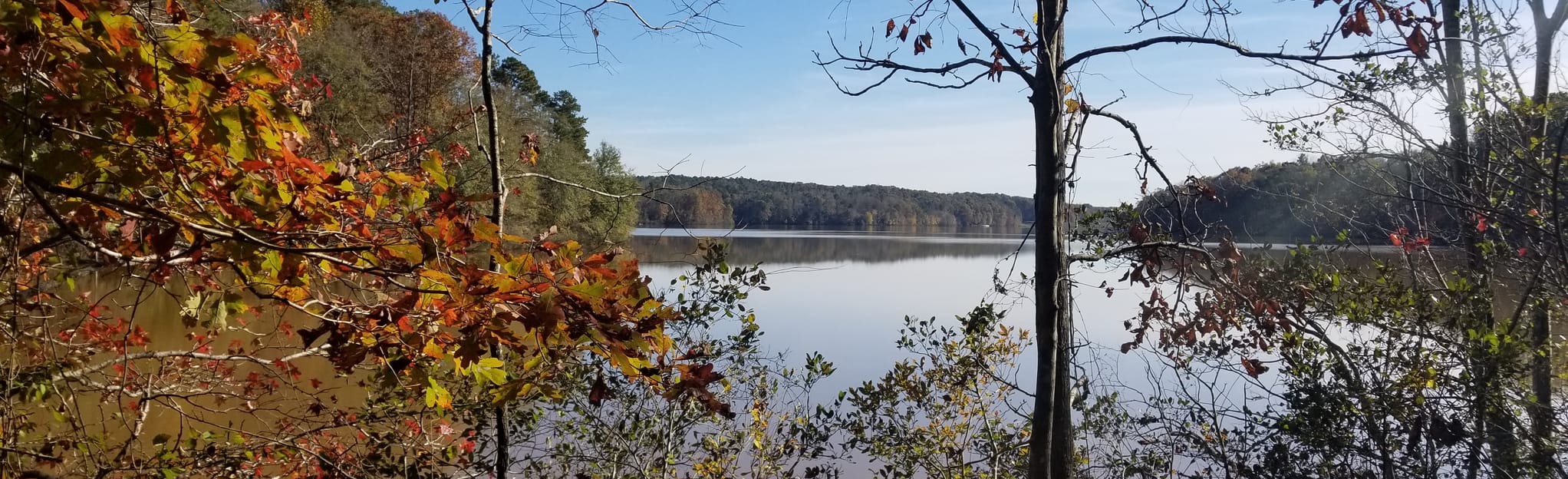 Sandy Creek Lakeside Trail: 591 Reviews, Map - Georgia | AllTrails