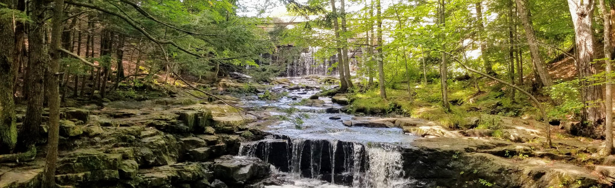 Brook Trail and Corniche Trail Loop: 64 Reviews, Map - Maine | AllTrails